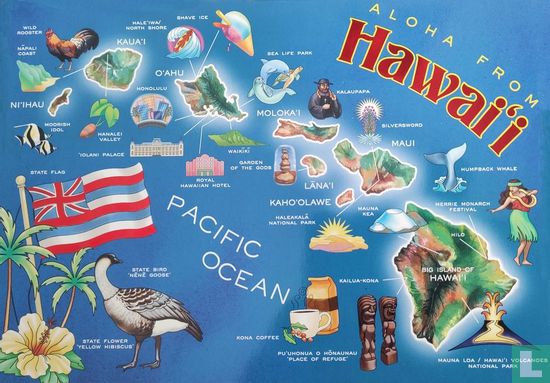Aloha From Hawaii 12803-253 - Island Heritage Honolulu, Hawaii - LastDodo